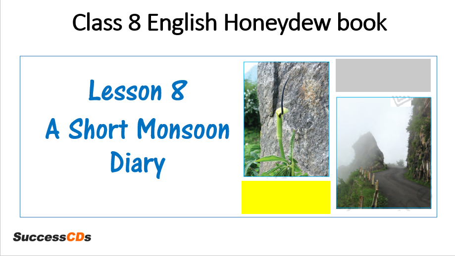 A Short Monsoon Diary, Class 8 CBSE English Lesson Summary, Explanation