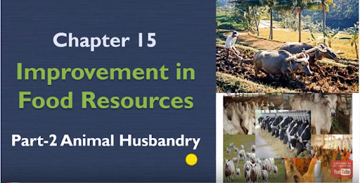 Improvement in food Resources, Class 9 Notes Science Chapter 15 ...