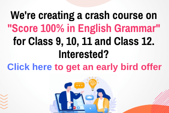 Black Aeroplane Class 10 CBSE Summary, Explanation, Questions