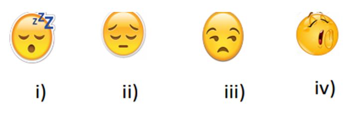 From the Diary of Anne Frank Important Questions (1,2,3,5 marks) Class ...