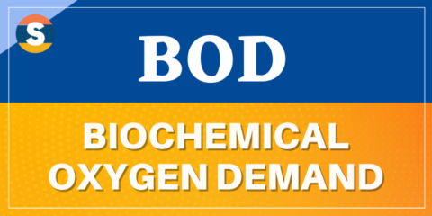 BOD Full Form, What does BOD stand for