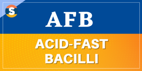 Full form of AFB, What does AFB stand for