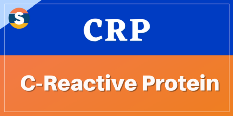 Full form of CRP, What does CRP stand for