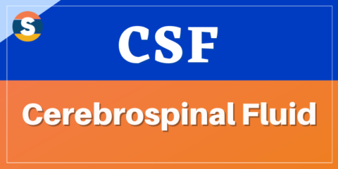 Full form of CSF, What does CSF stand for
