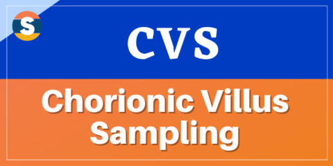 Full form of CVS, What does CVS stand for?