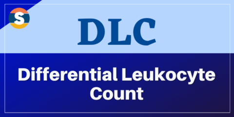 DLC Full Form, What is the Full Form of DLC?