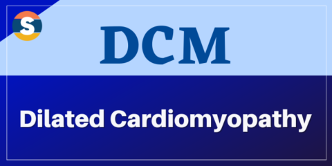 Full form of DCM, What does DCM stand for?