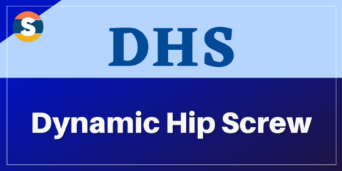 Full form of DHS, What does DHS stand for