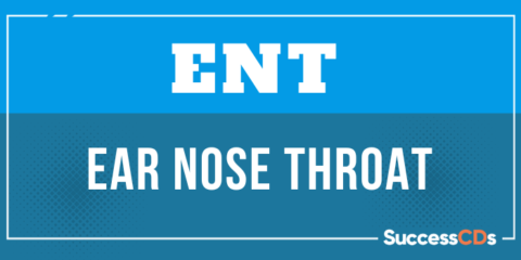 Full form of ENT, What does ENT stand for?