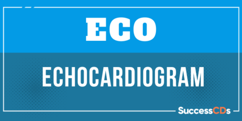 Full form of ECO, What does ECO stand for