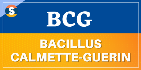 Full form of BCG, What does BCG stand for