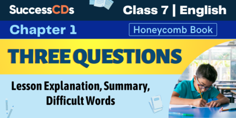 Three Questions Summary, Explanation, Word Meanings Class 7