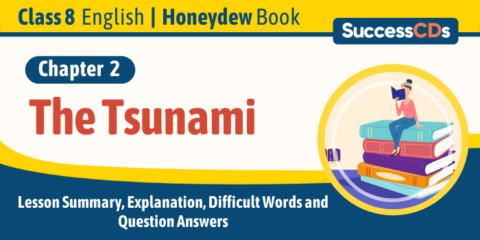 The Tsunami Class 8 English Chapter 2 Explanation, Question Answers