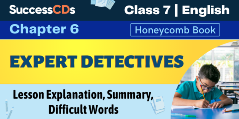 Expert Detectives Summary, Explanation, Word Meanings Class 7