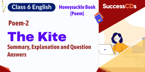 The Kite Class 6 English Poem 2 Explanation, Question Answer