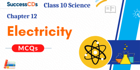Electricity Class 10 Science MCQ Questions