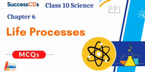 Life Processes Class 10 MCQs NCERT Science Chapter 6