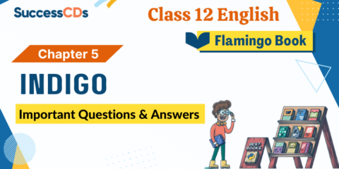 Indigo Question Answers (Important) Class 12 English