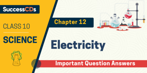 Electricity Class 10 Science Important Questions Answers Chapter 12