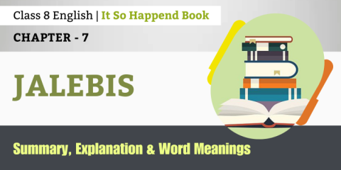 Jalebis, Class 8 CBSE English Lesson Summary, Explanation