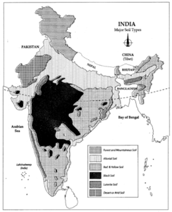 Chapter 1 Resources and Development NCERT Solutions for Class 10 Geography