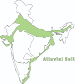 Chapter 1 Resources and Development NCERT Solutions for Class 10 Geography