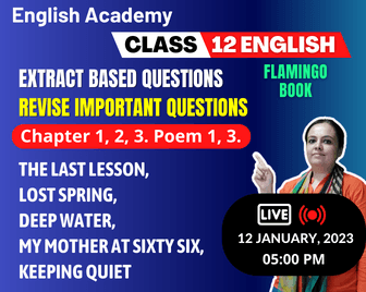 My mother at sixty six MCQs Class 12 English Flamingo Poem 1