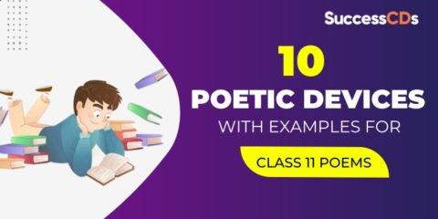 10 Poetic Devices with Examples for Class 11 Poems
