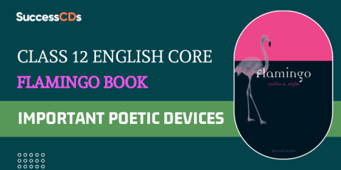 Important Poetic Devices for Class 12
