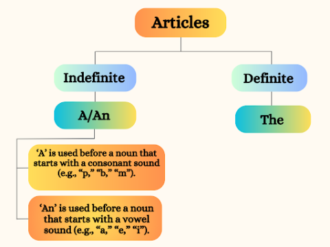 Determiners for Class 8 Rules, Exercises