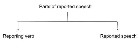 Reported Speech for Class 8 English Grammar
