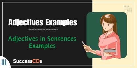 Adjectives Examples, Adjectives in Sentences Examples