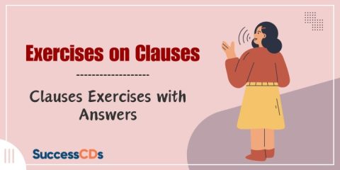 Clauses Exercises with Answers| Exercises on Clauses