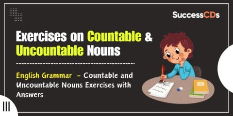 Countable and Uncountable Nouns Exercises| English Grammar