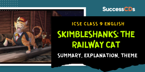 Skimbleshanks: The Railway Cat Summary, Explanation, Theme | ICSE Class ...