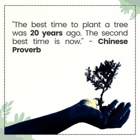 World Environment Day 2024 Slogans, Quotes, and Sayings