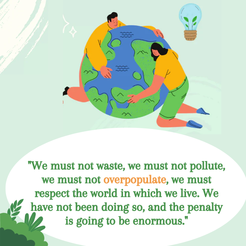 World Environment Day 2024 Slogans, Quotes, and Sayings