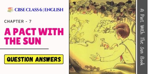 A Pact With The Sun Question Answers (Important) | Class 6 English A ...