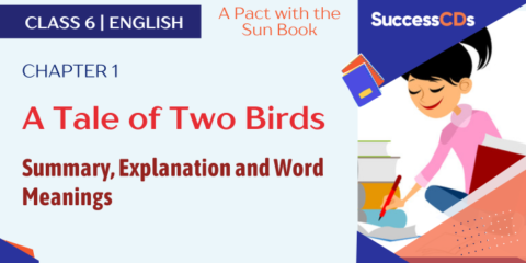 A Tale of Two Birds Summary, Explanation, Word meanings Class 6