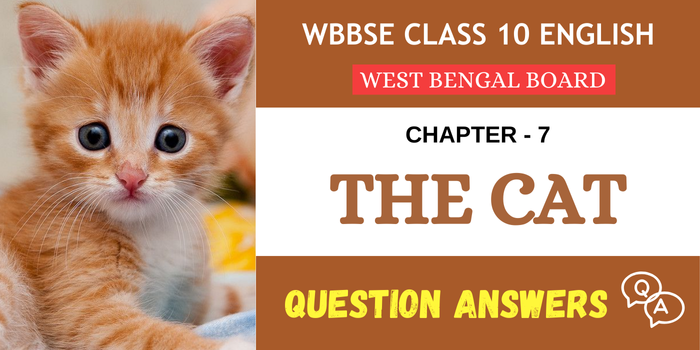 The Cat Question Answers WBBSE Class 10 English Bliss Book