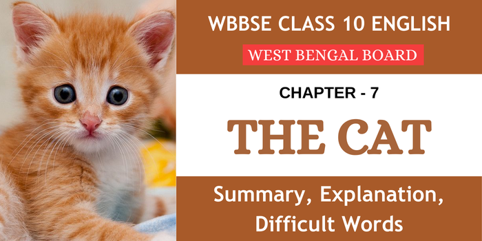 The Cat Summary, Explanation, Difficult Words | WBBSE Class 10 English ...