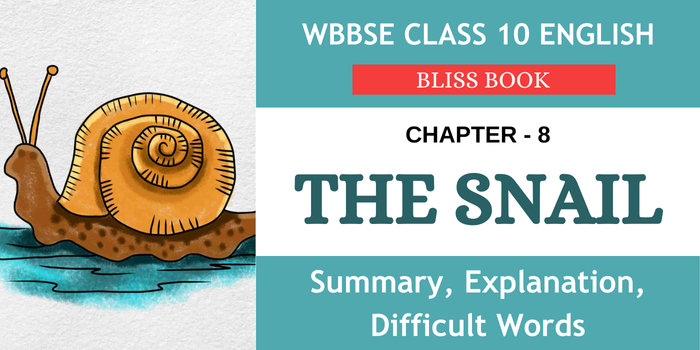 The Snail Poem Summary In Bengali | Sitedoct.org