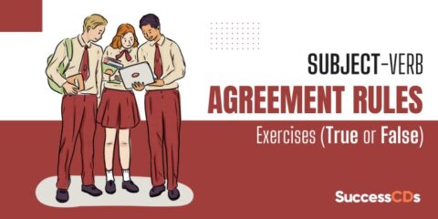 Subject-Verb Agreement Rules Exercises (True or False)