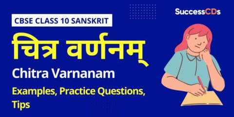 कक्षा 10 संस्कृत चित्र वर्णनम् CBSE Class 10 Sanskrit Chitra Varnanam