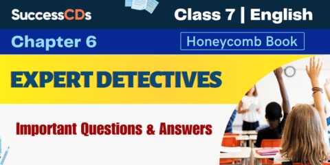 Expert Detectives Question Answers (Important)| Class 7 English ...