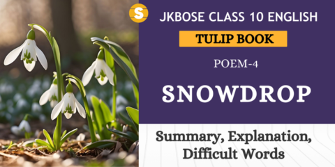 Snowdrop Summary, Explanation, Difficult Words | JKBOSE Class 10 ...