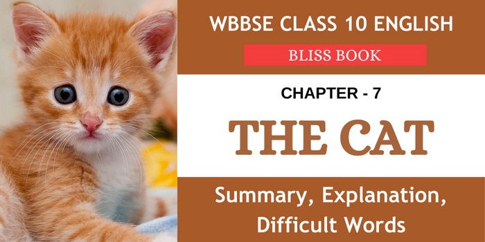 The Cat Summary, Explanation, Difficult Words | WBBSE Class 10 English Lesson 7