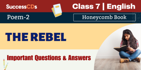 The Rebel Question Answers (Important) | Class 7 English Honeycomb Book
