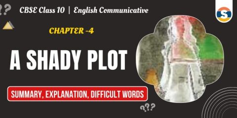 A Shady Plot Summary, Explanation, Word meanings Class 10