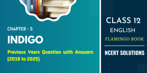 Indigo Previous Years Question with Answers (2019 to 2025)
